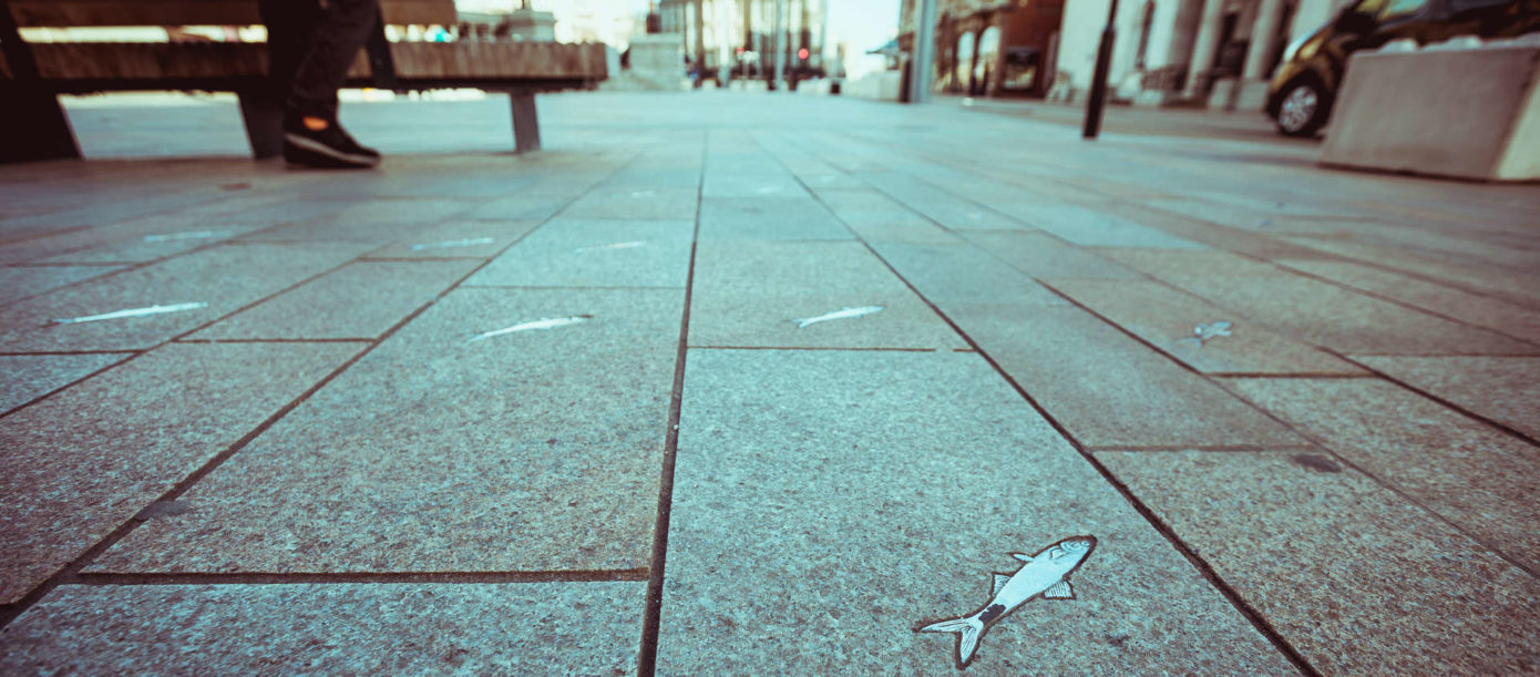 » Hull Trails to add interest to your daily walk