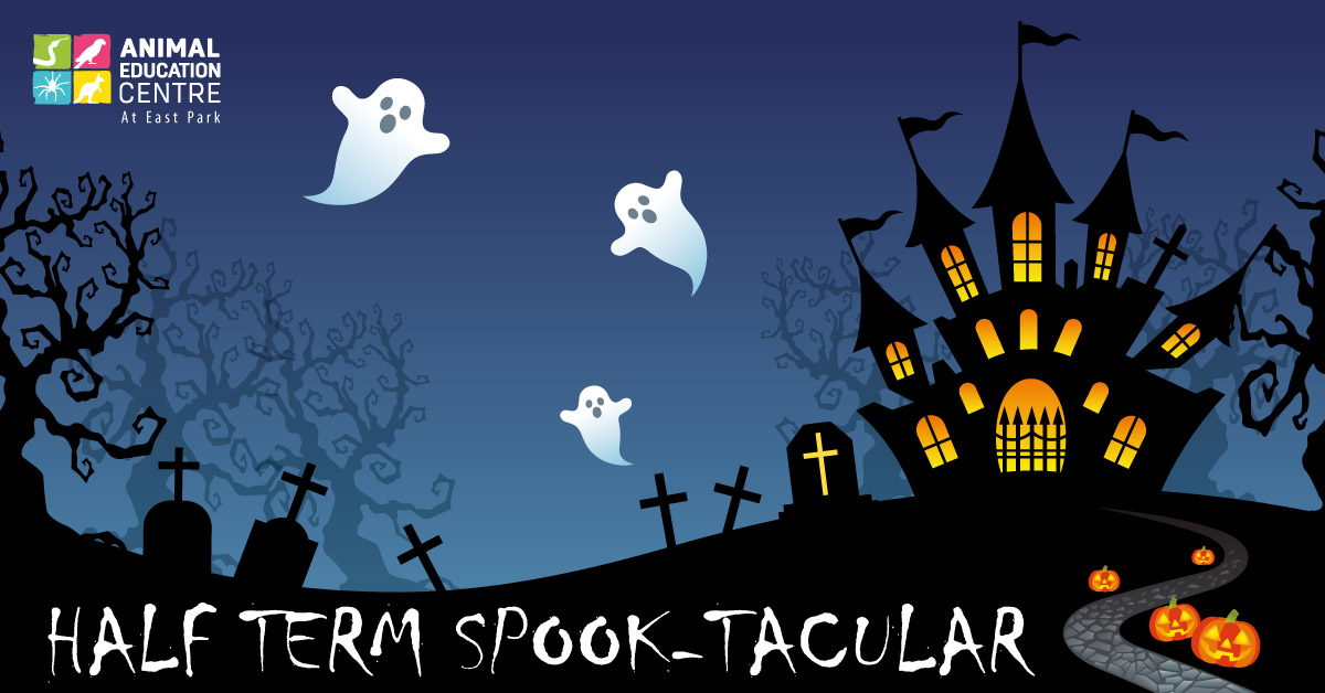 » Bat Trail ~ Animal Education Centre