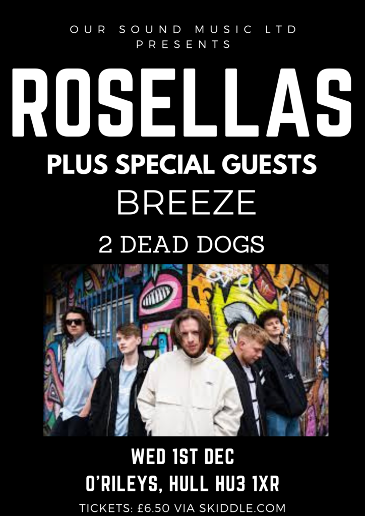 » Rosellas at O’Rileys