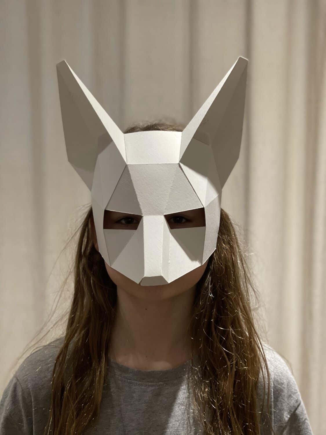 » Fox Den Mask Making Workshop (Humber Street)