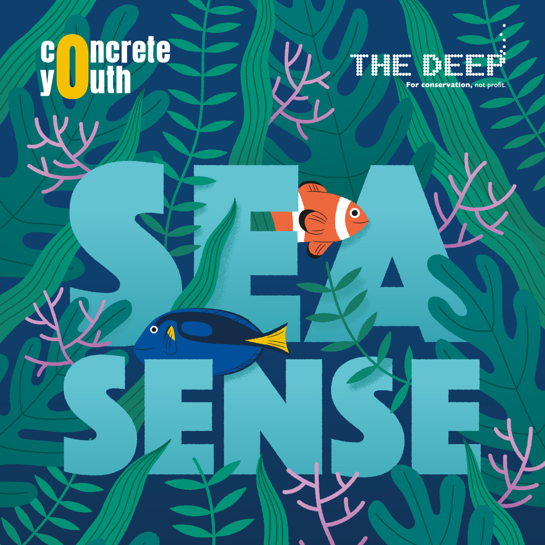 » Sea Sense