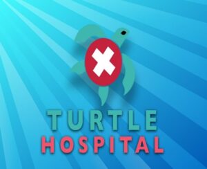 » The Deep – Turtle Hospital