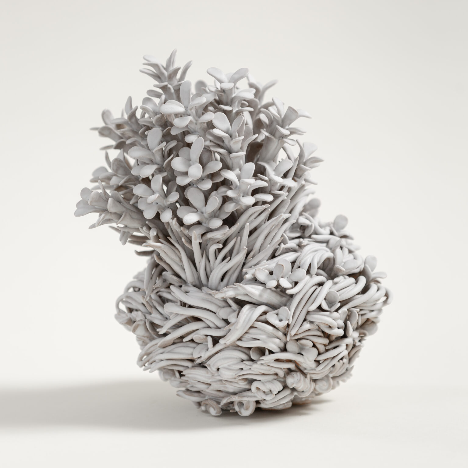 » Botanical Blueprints