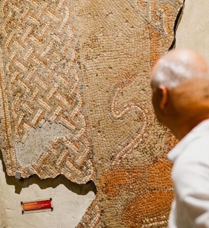 » Hull and East Riding Museum Guided Tour